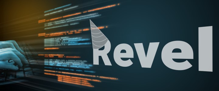 Revel Web Development | Orient Software